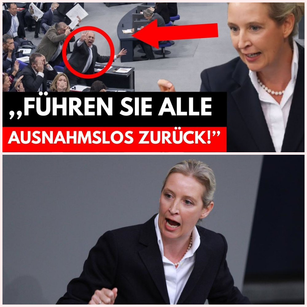 Eskalation im Bundestag: AfD-Forderung nach Massen-Rückführungen ...